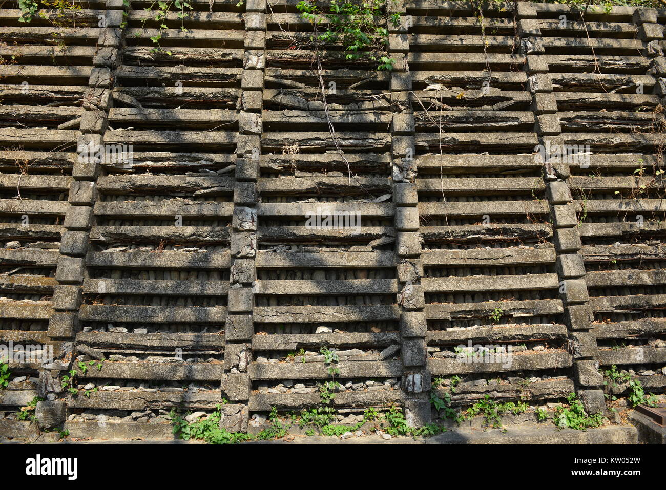 Love everything, life is everything Stock Photo - Alamy