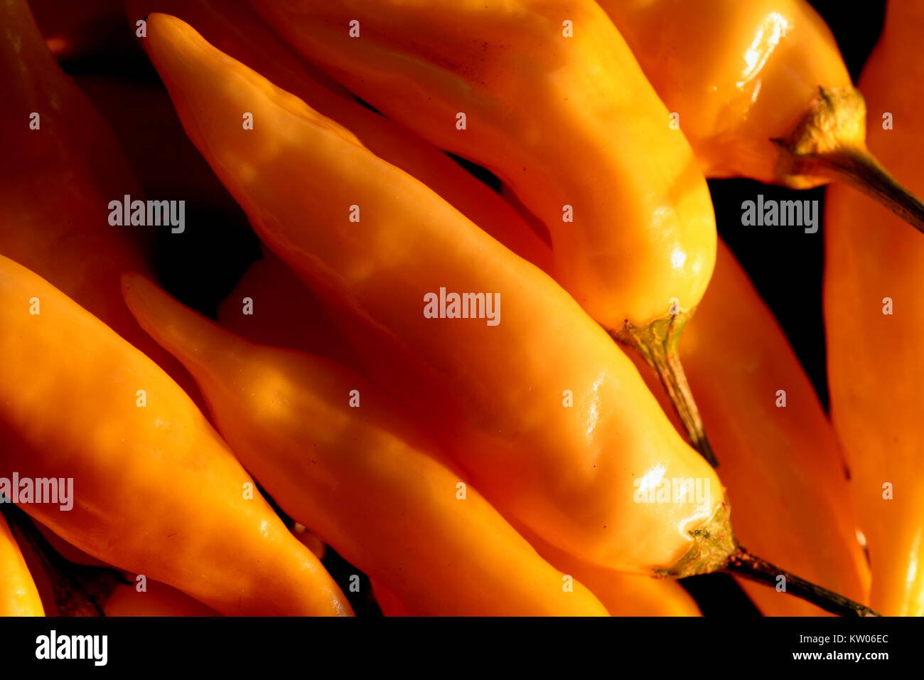 Super chilis hi-res stock photography and images - Alamy