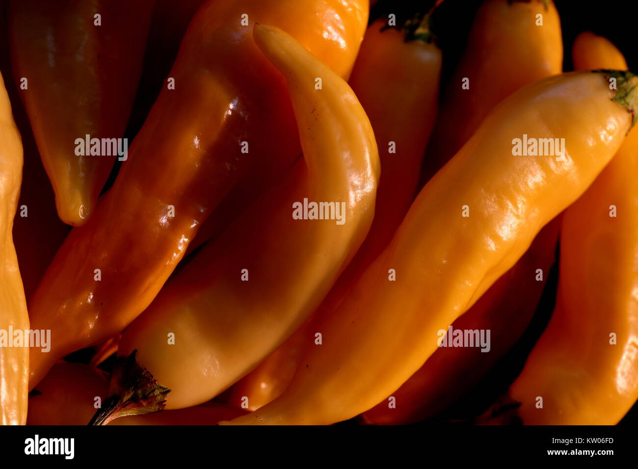 Ripened chili hi-res stock photography and images - Alamy
