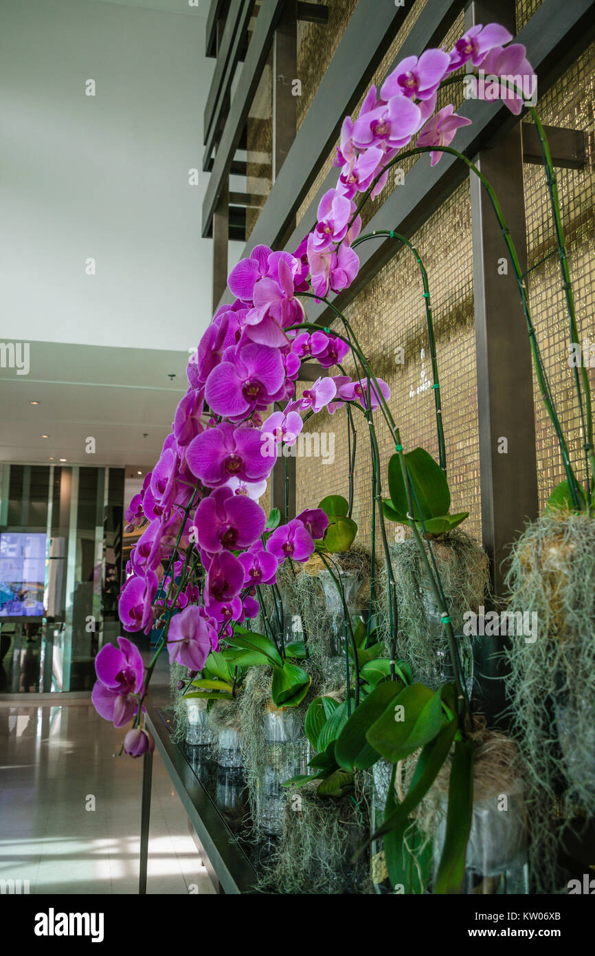 Hotel lobby flowers hi-res stock photography and images - Alamy