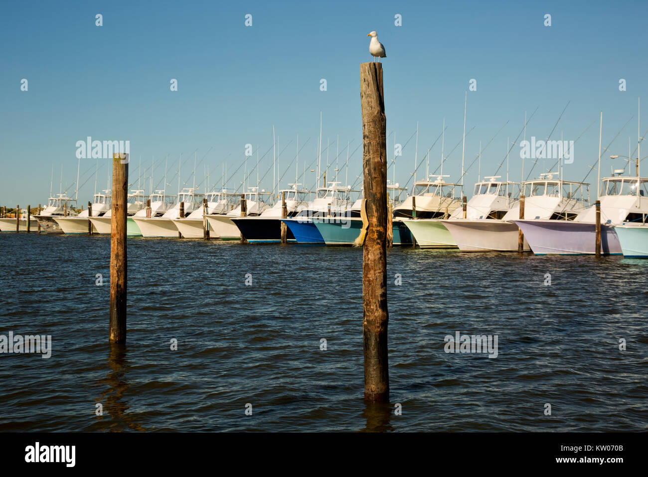 Oregon inlet hi-res stock photography and images - Alamy