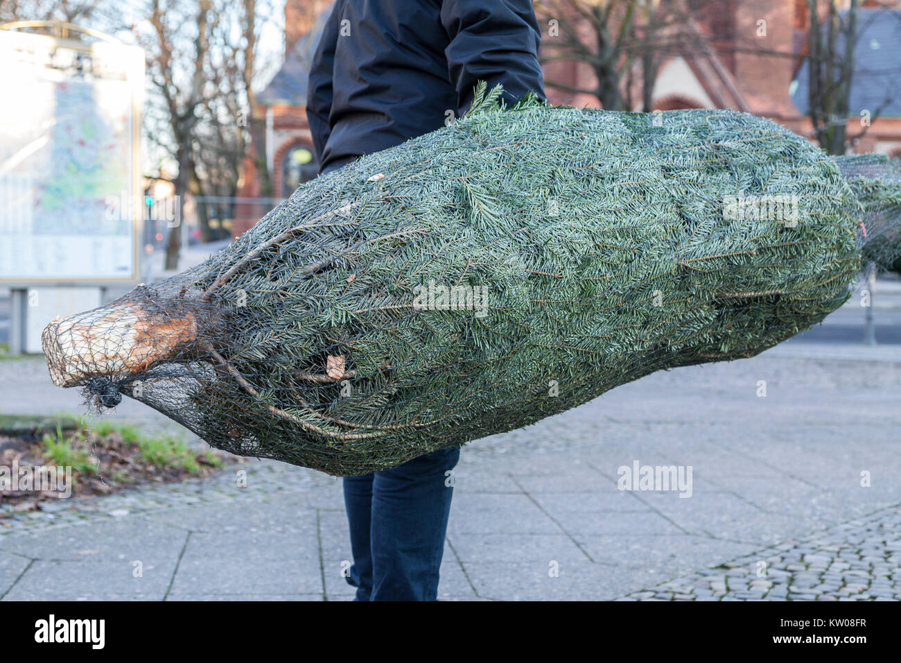 Transporting a christmas tree hi-res stock photography and images - Alamy