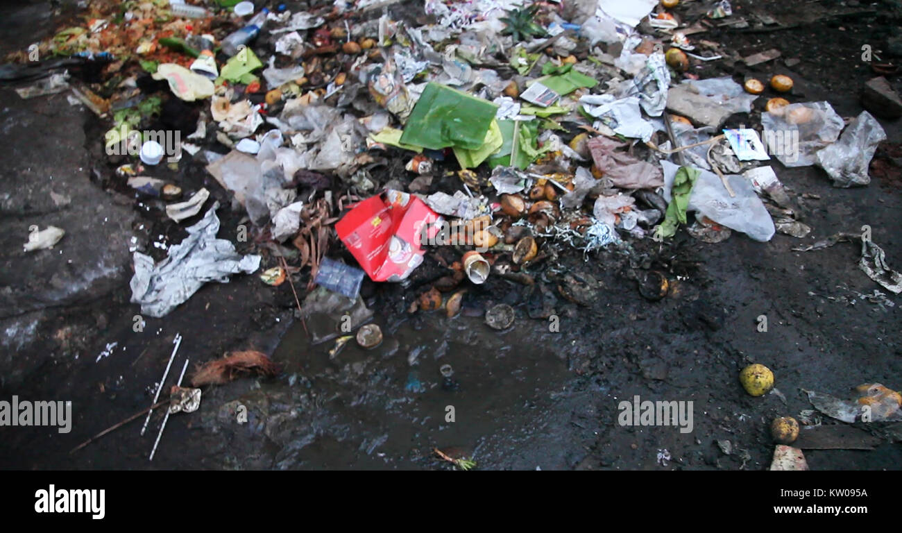 Paper and Food Waste - Rotten fruit and vegetable waste in a dumpster ...