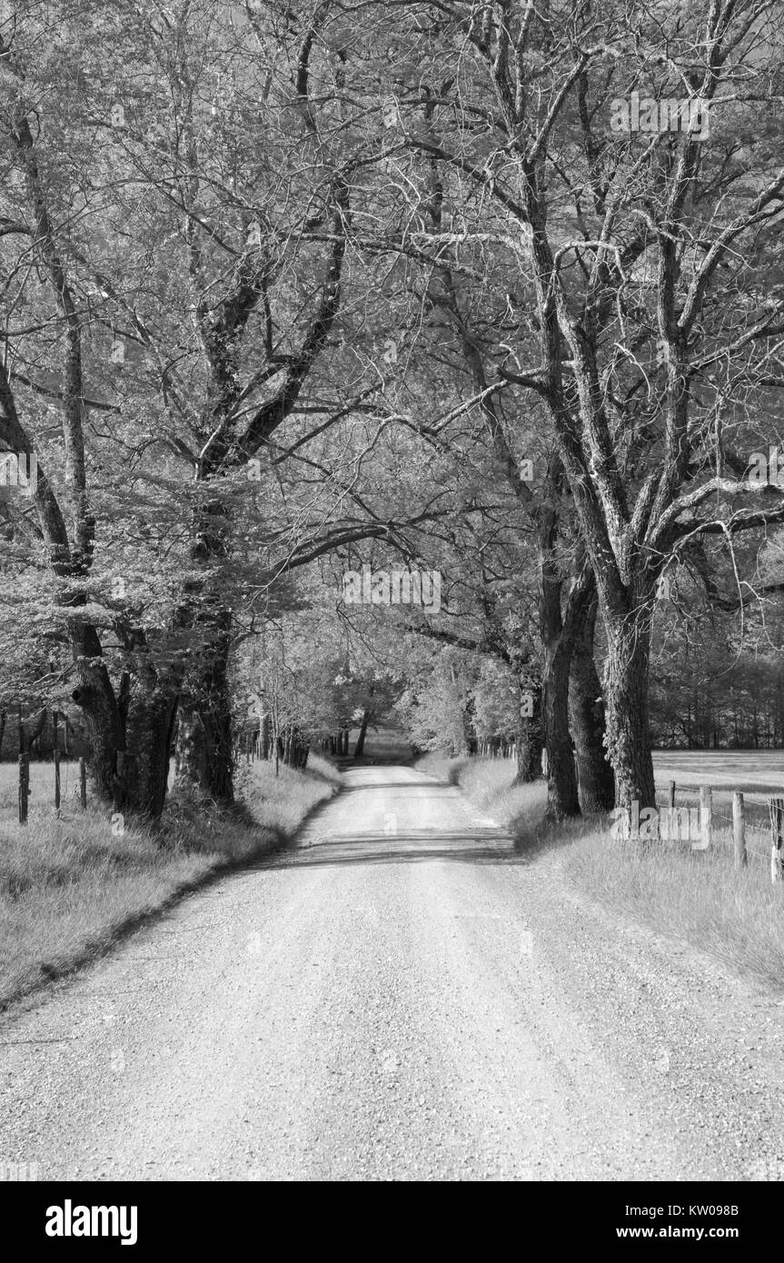 Early spring in great Black and White Stock Photos & Images - Alamy