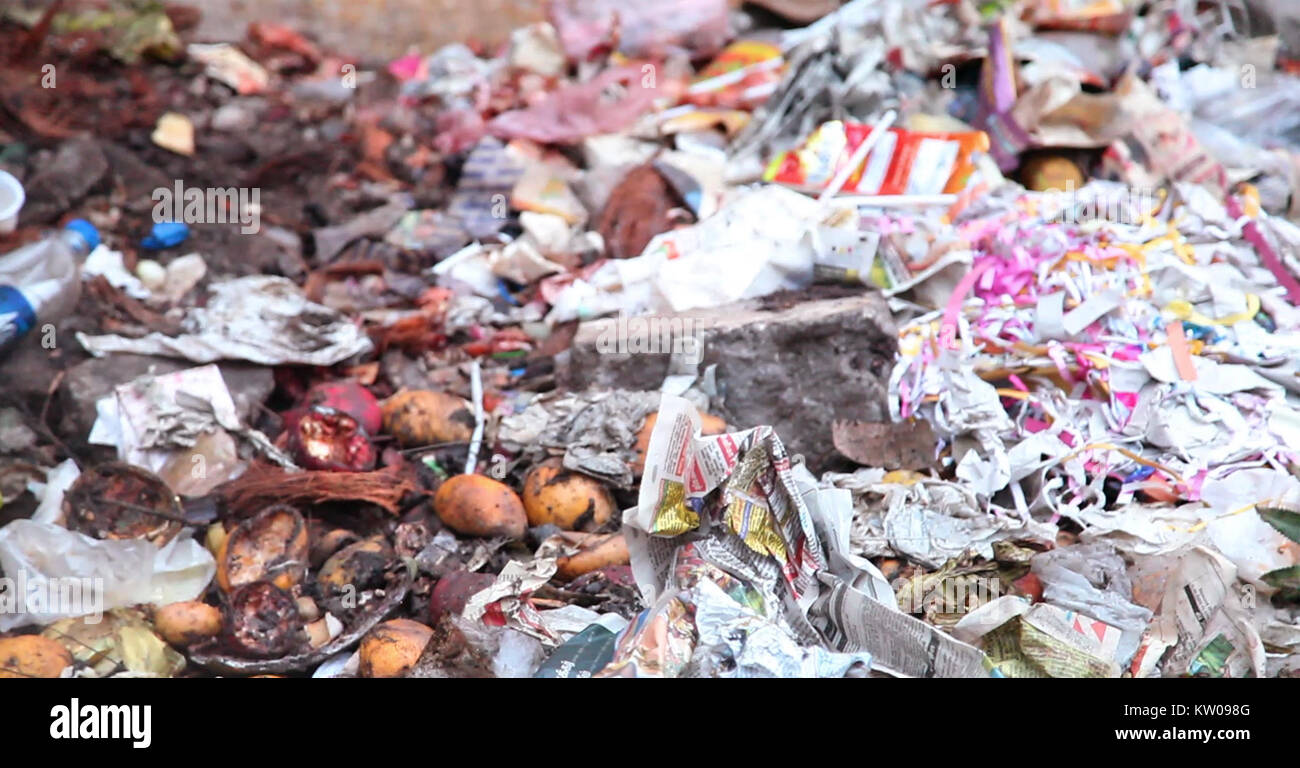 Paper and Food Waste - Rotten fruit and vegetable waste in a dumpster ...