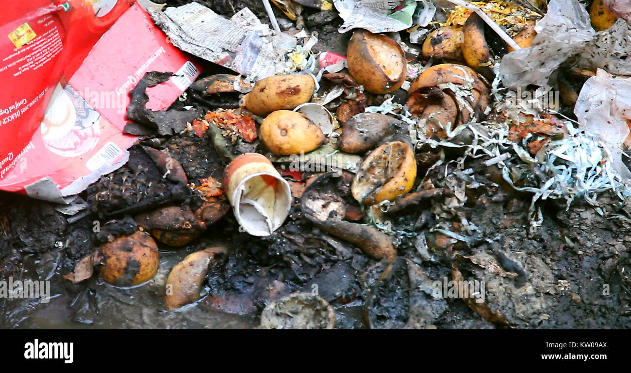 Paper and Food Waste - Rotten fruit and vegetable waste in a dumpster ...