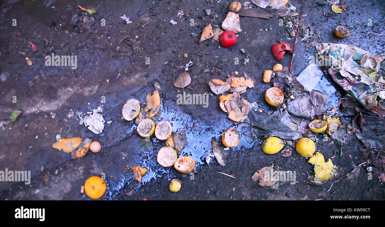 Food Waste - Rotten fruit and vegetable waste in a dumpster Stock Photo ...