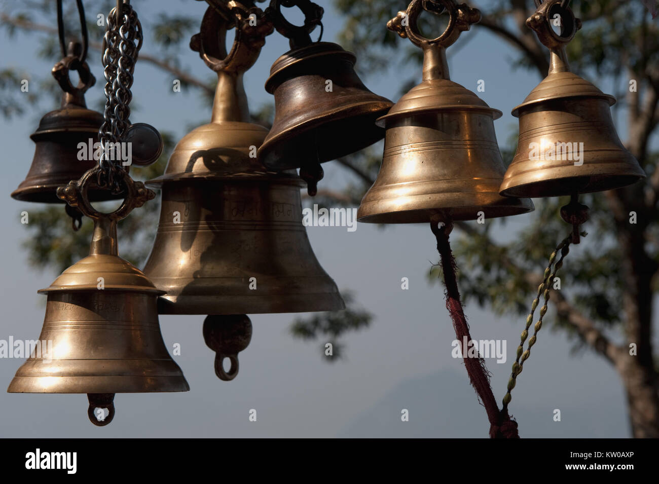 Heavy bronze Nepalese bells on chains against the background of tree ...