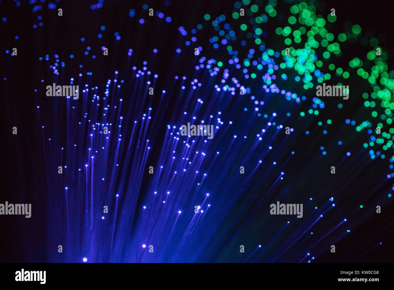 color fiber optical background on black, Fiber optics lights abstract ...