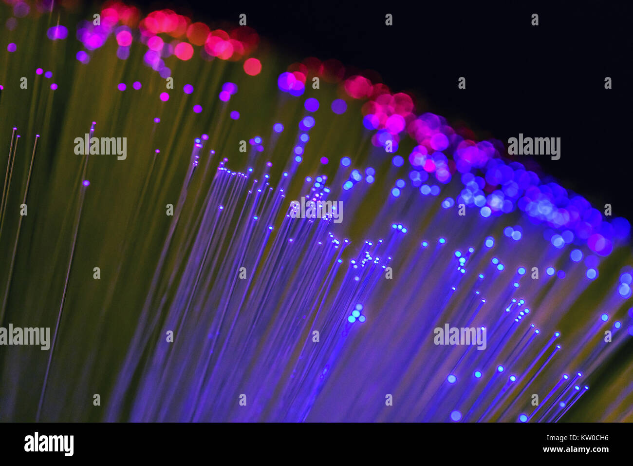 color fiber optical background on black, Fiber optics lights abstract ...