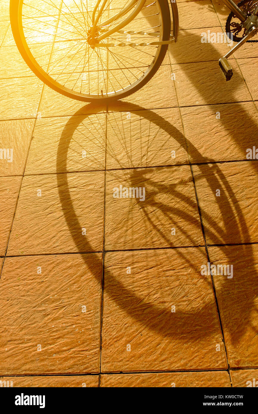 Bicycle wheel and shadow on sunset background Stock Photo - Alamy