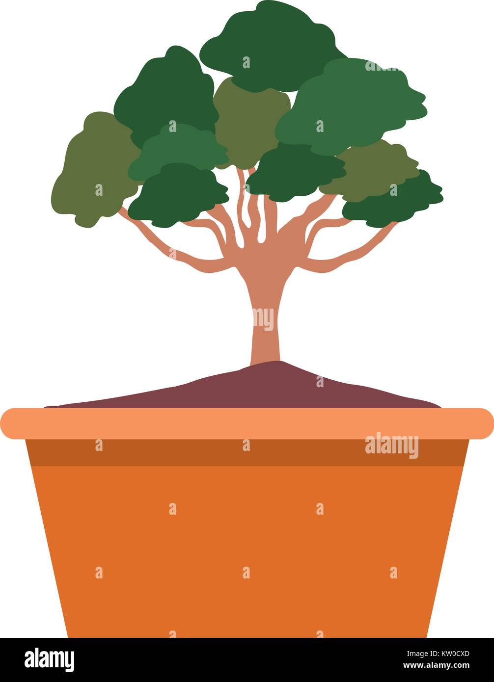 Beautiful bonsai tree on Stock Vector Images - Alamy