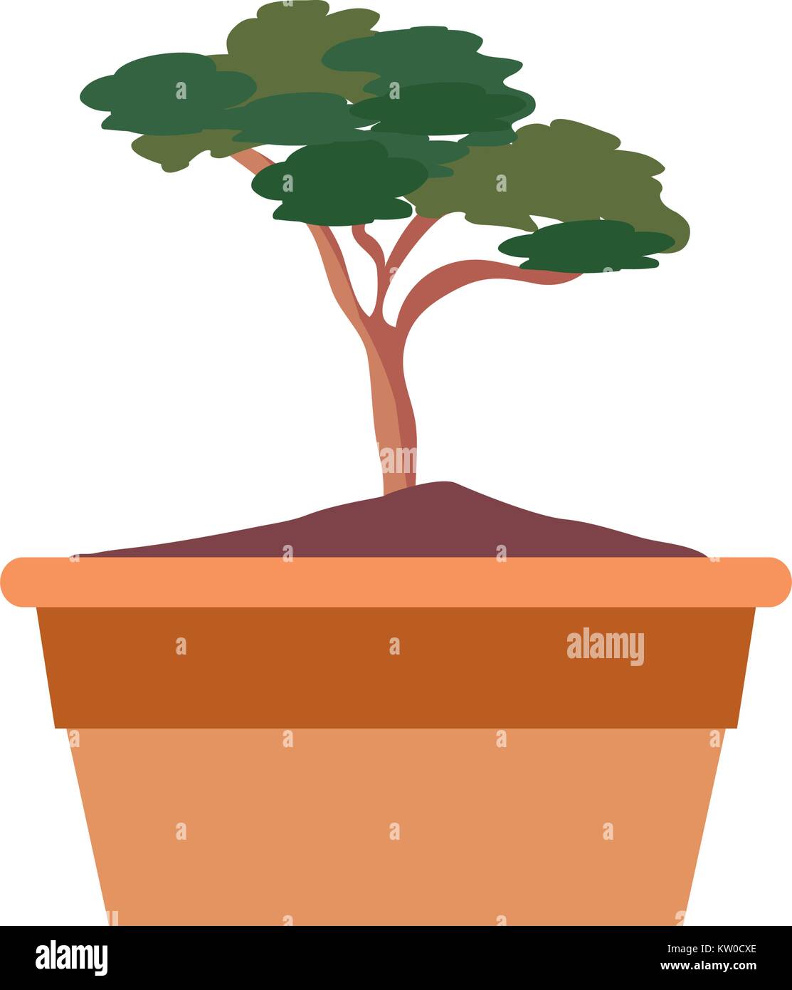 White pine bonsai Stock Vector Images - Alamy