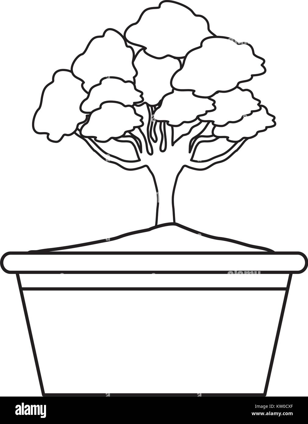 Small bonsai tree in Black and White Stock Photos & Images - Alamy