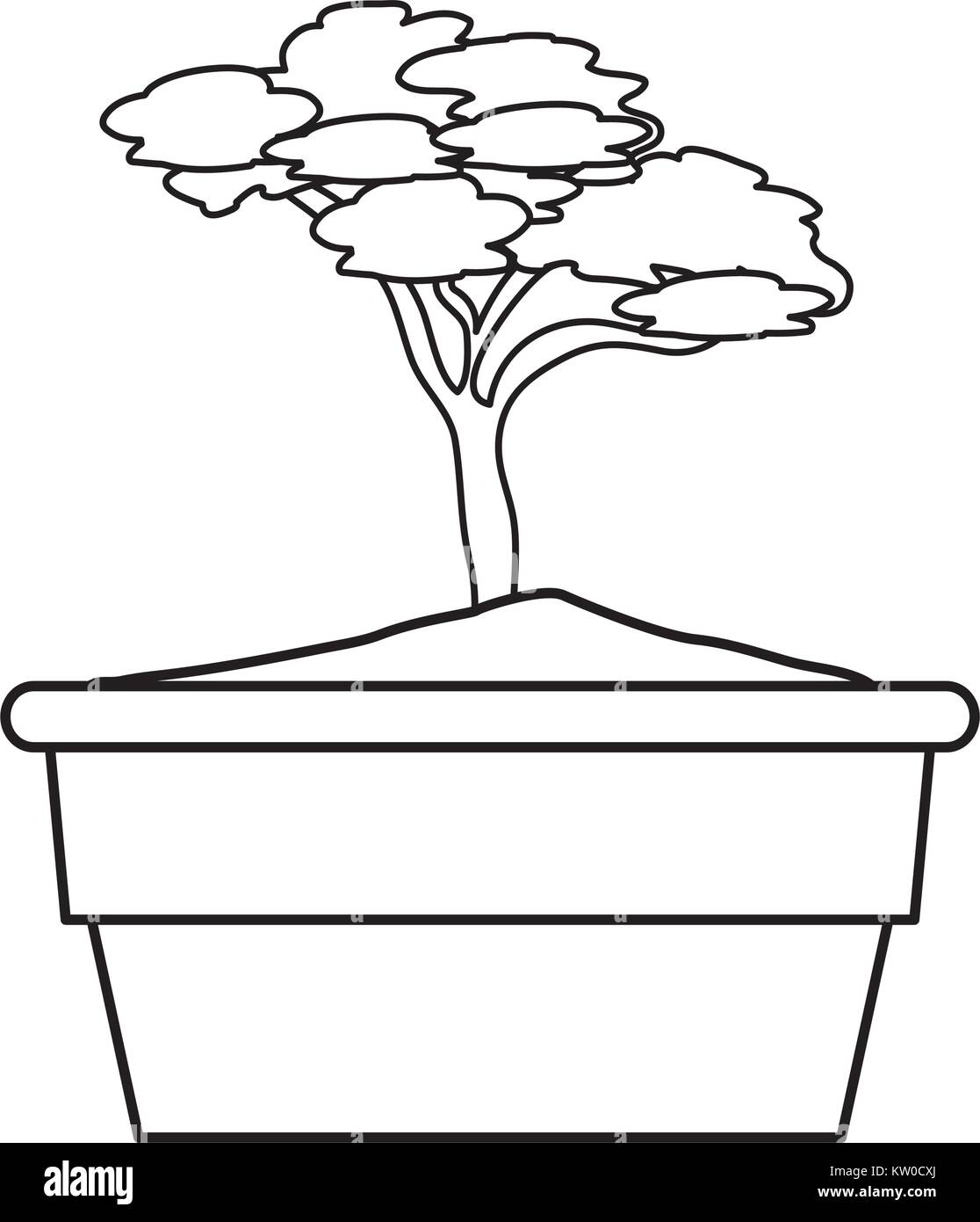 Small bonsai tree in Black and White Stock Photos & Images - Alamy