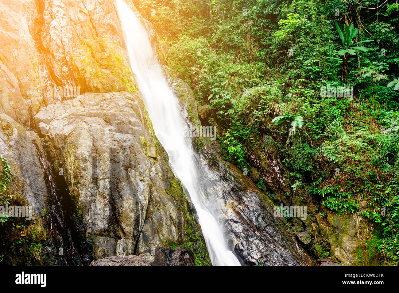 beautiful peaceful waterfall at forest in Thailand Stock Photo - Alamy