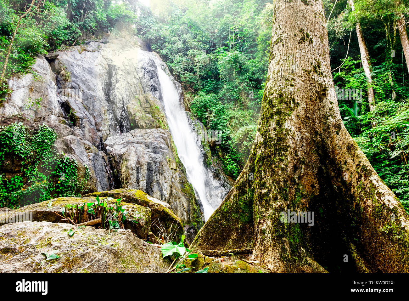 beautiful peaceful waterfall at forest in Thailand Stock Photo - Alamy