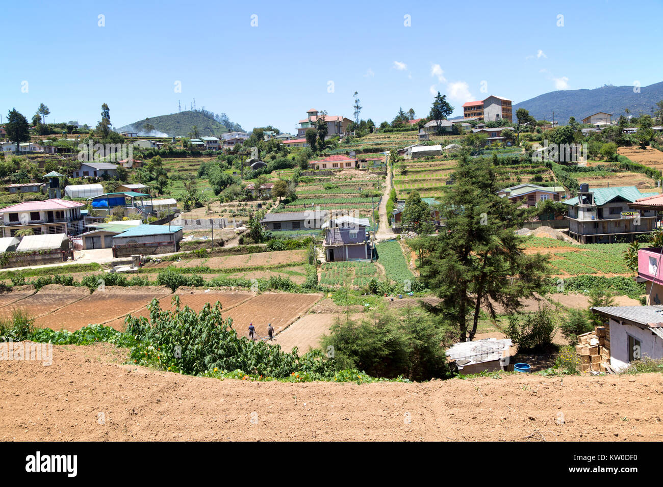 Intensive Subsistence Farming High Resolution Stock Photography and ...