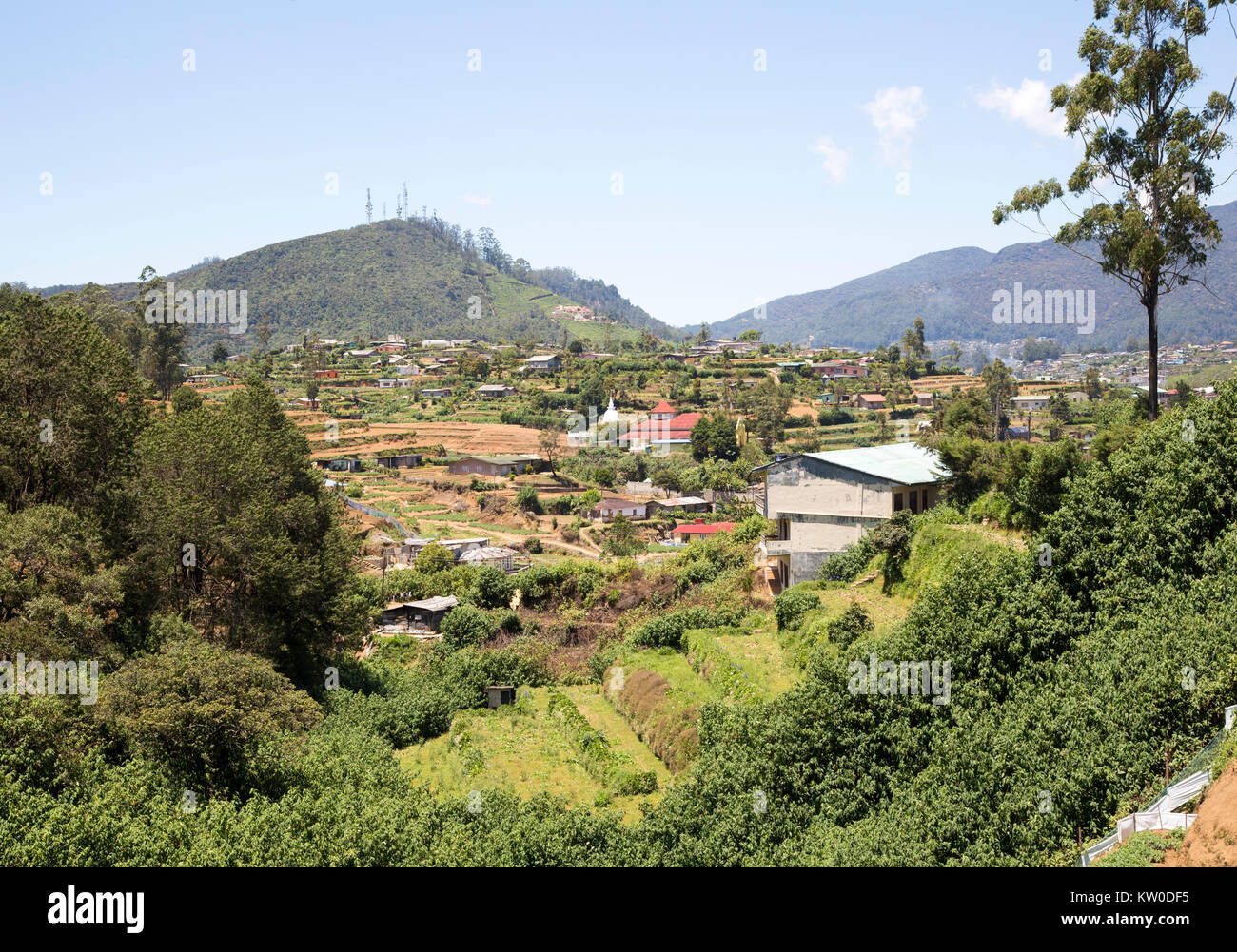 Intensive subsistence terraced farming near nuwara eliya hi-res stock ...
