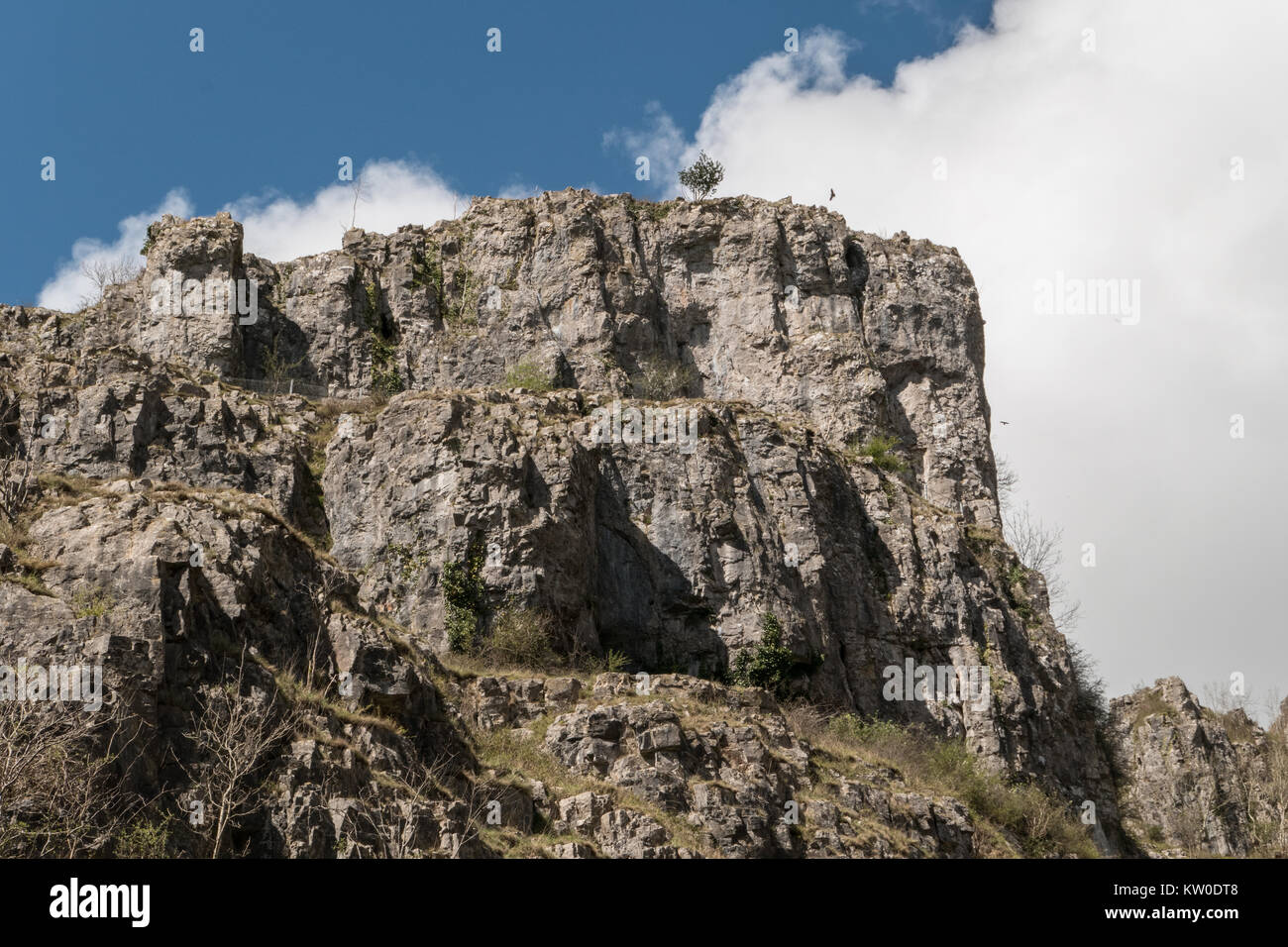 Cheddar Gorge, Somerset, England, UK Stock Photo - Alamy