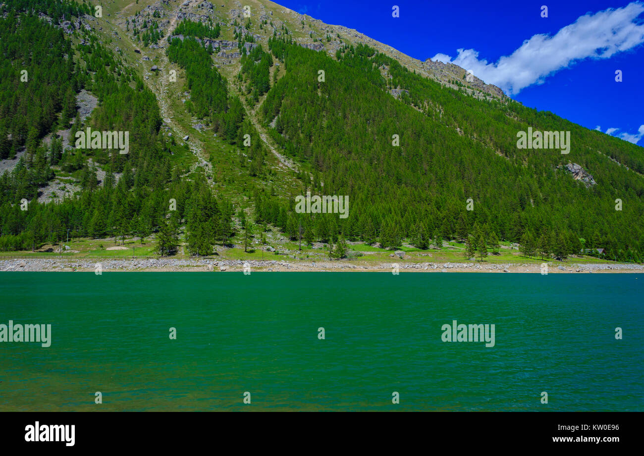 Suggestive trees hi-res stock photography and images - Alamy