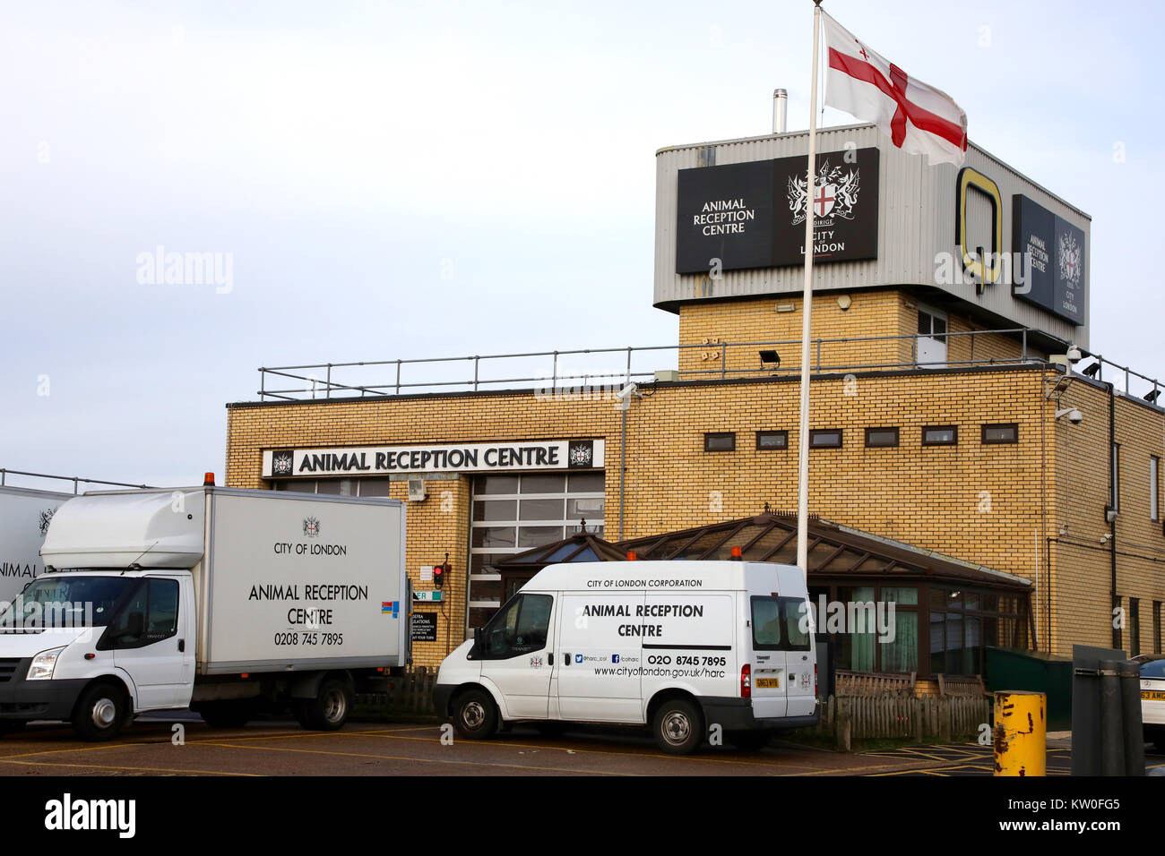 Animal rescue centre reception hi-res stock photography and images - Alamy