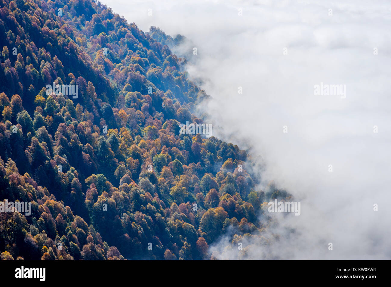 Colorful autumn landscapes hi-res stock photography and images - Alamy
