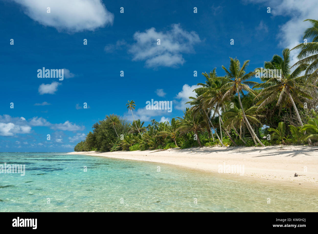 Beach with palm trees, Cook Islands Stock Photo - Alamy
