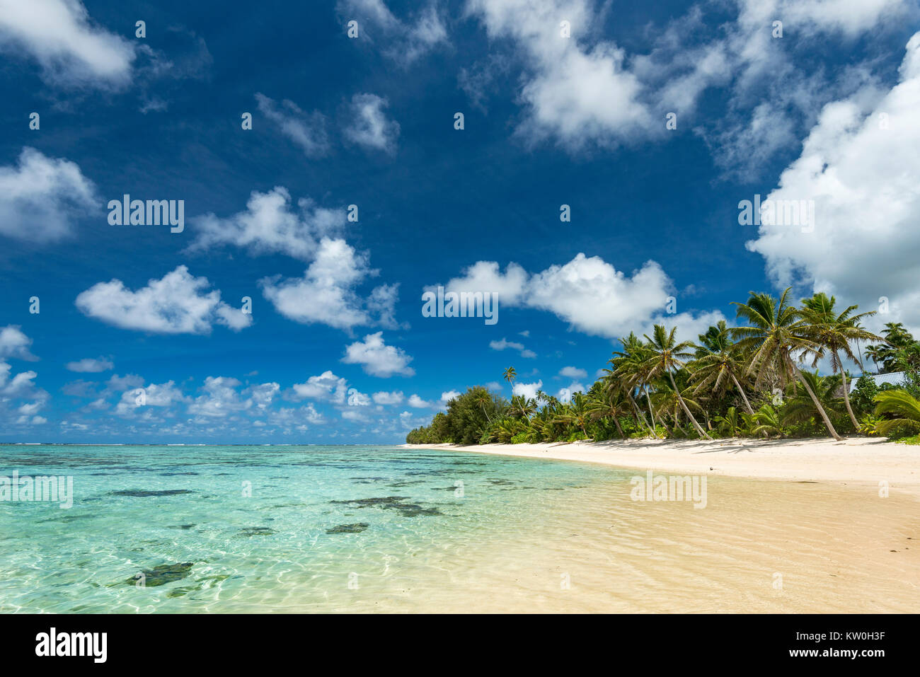 Beach with palm trees, Cook Islands Stock Photo - Alamy