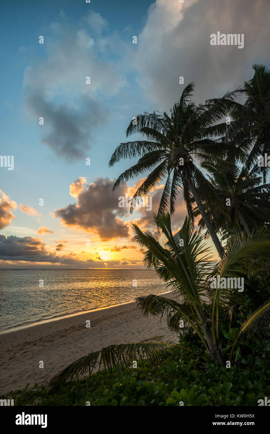 Beach at sunset with palm trees, Cook Islands Stock Photo - Alamy