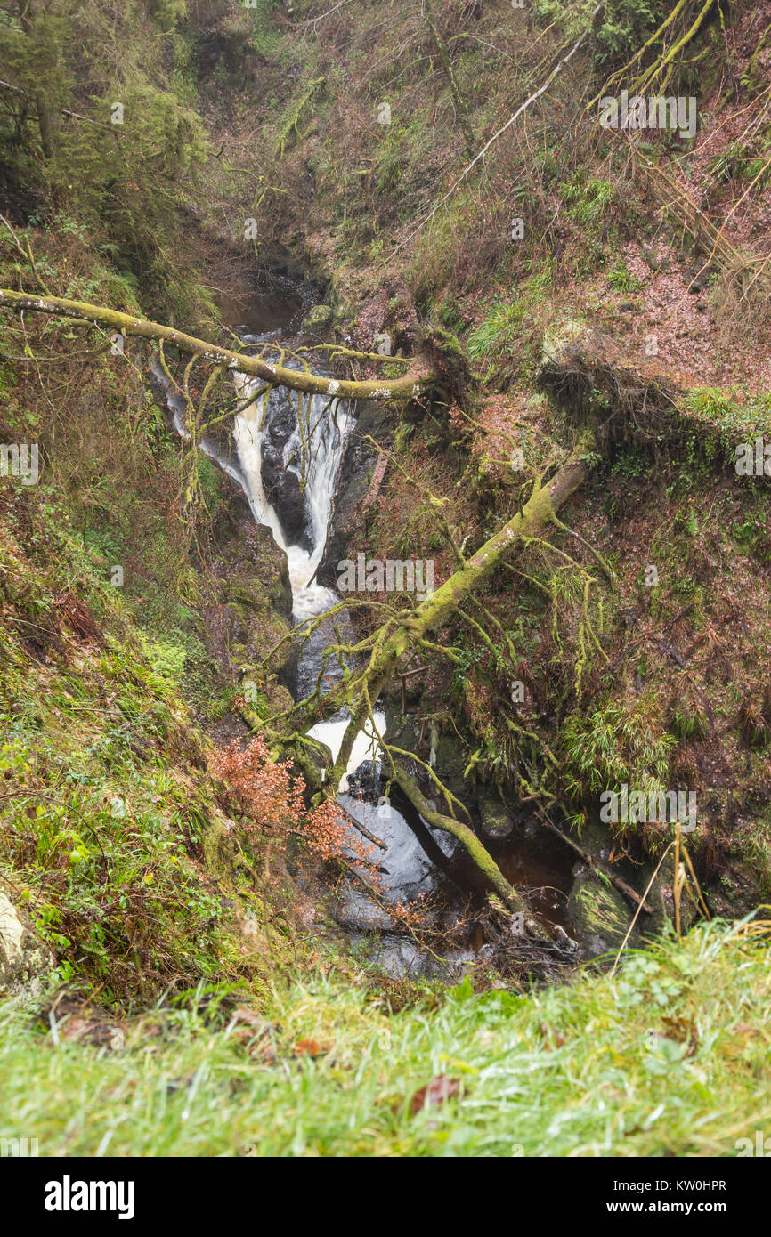 Fallen trees with a waterfall hi-res stock photography and images - Alamy