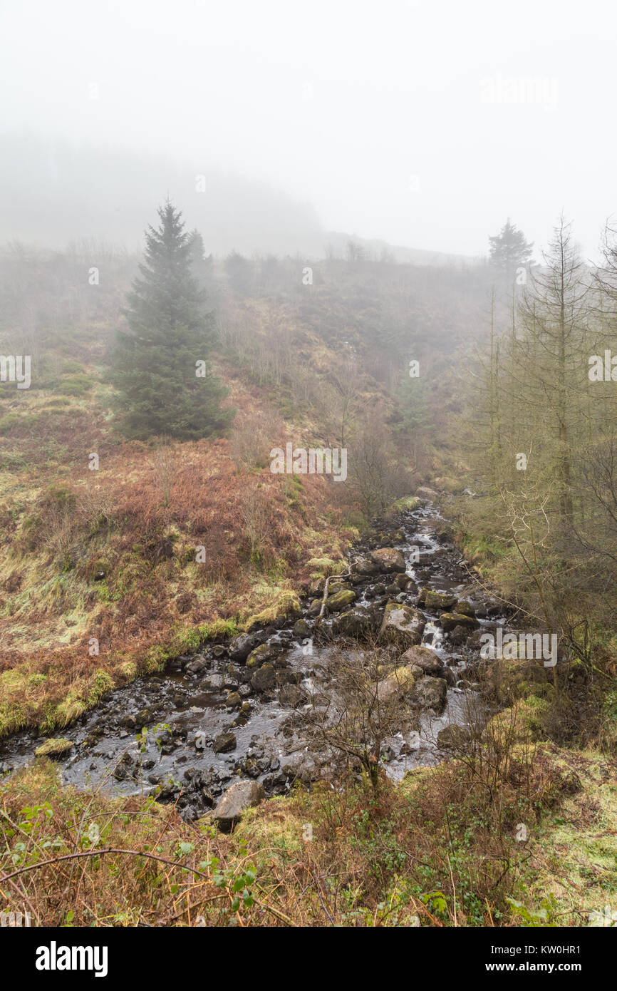 Inver park hi-res stock photography and images - Alamy