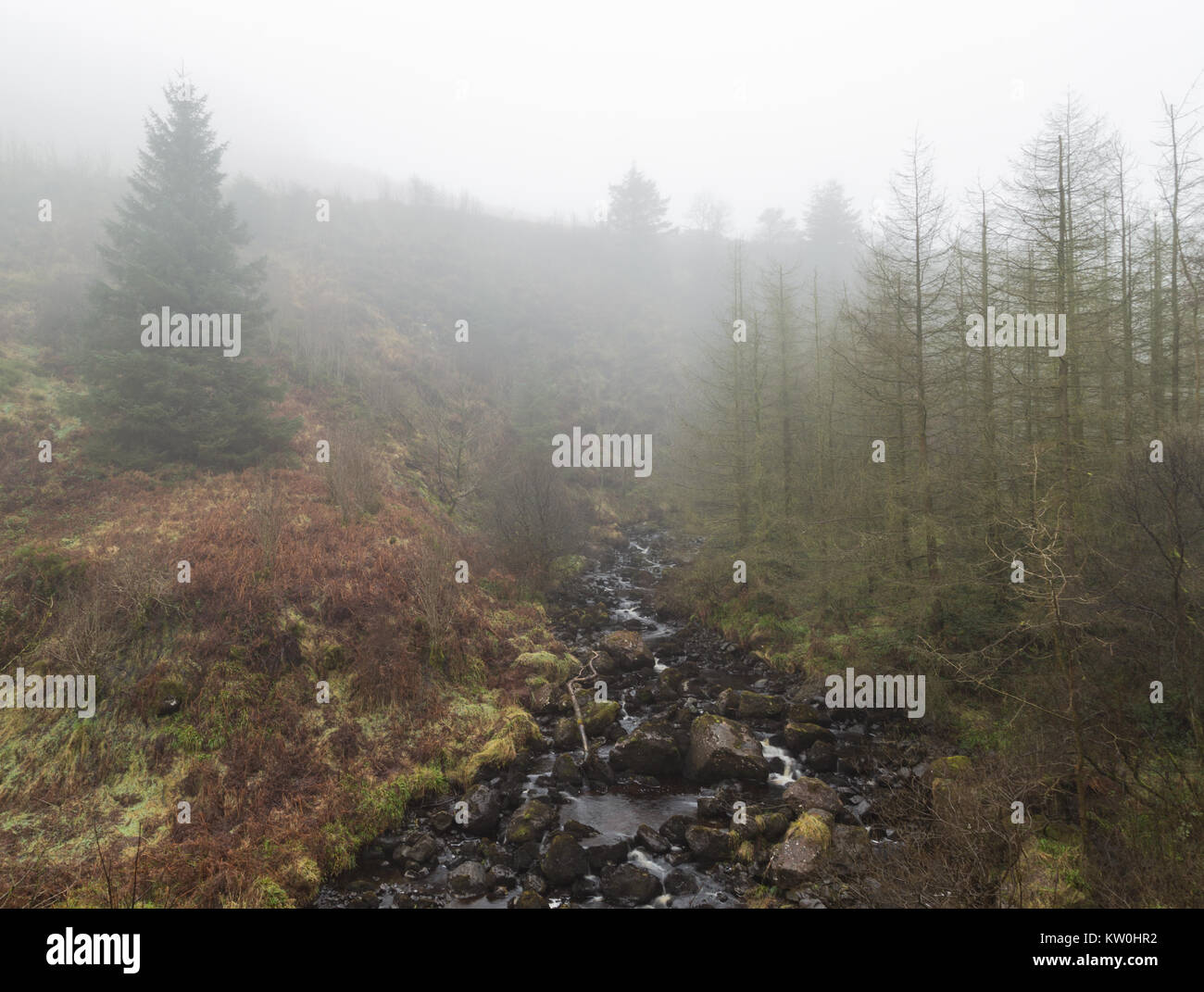 Inver park hi-res stock photography and images - Alamy