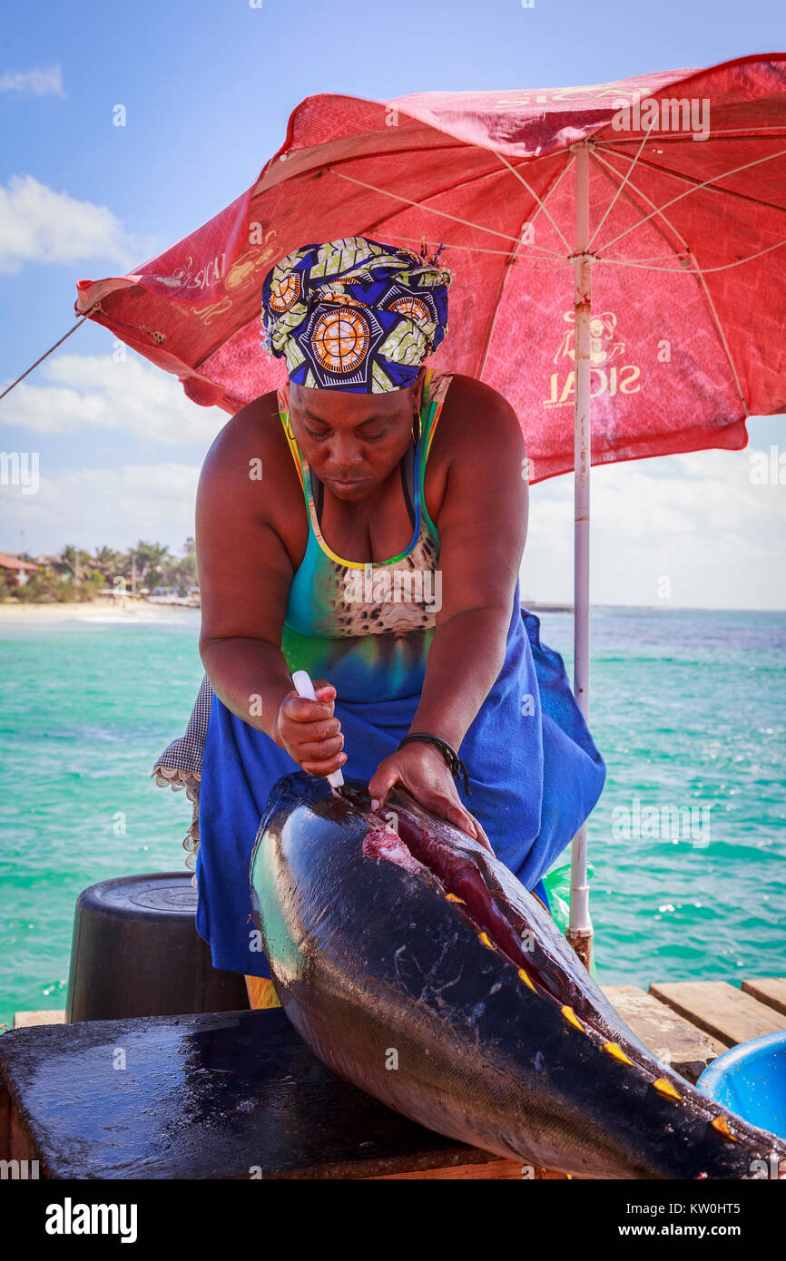 Local woman gutting and filleting a freshly caught tuna fish, on the ...