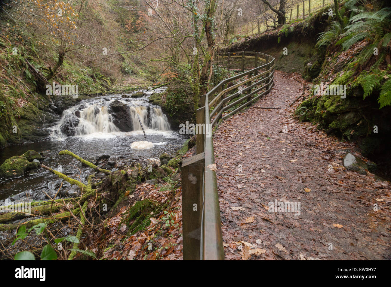 A waterfall beside a forest track in Glenariff Stock Photo - Alamy