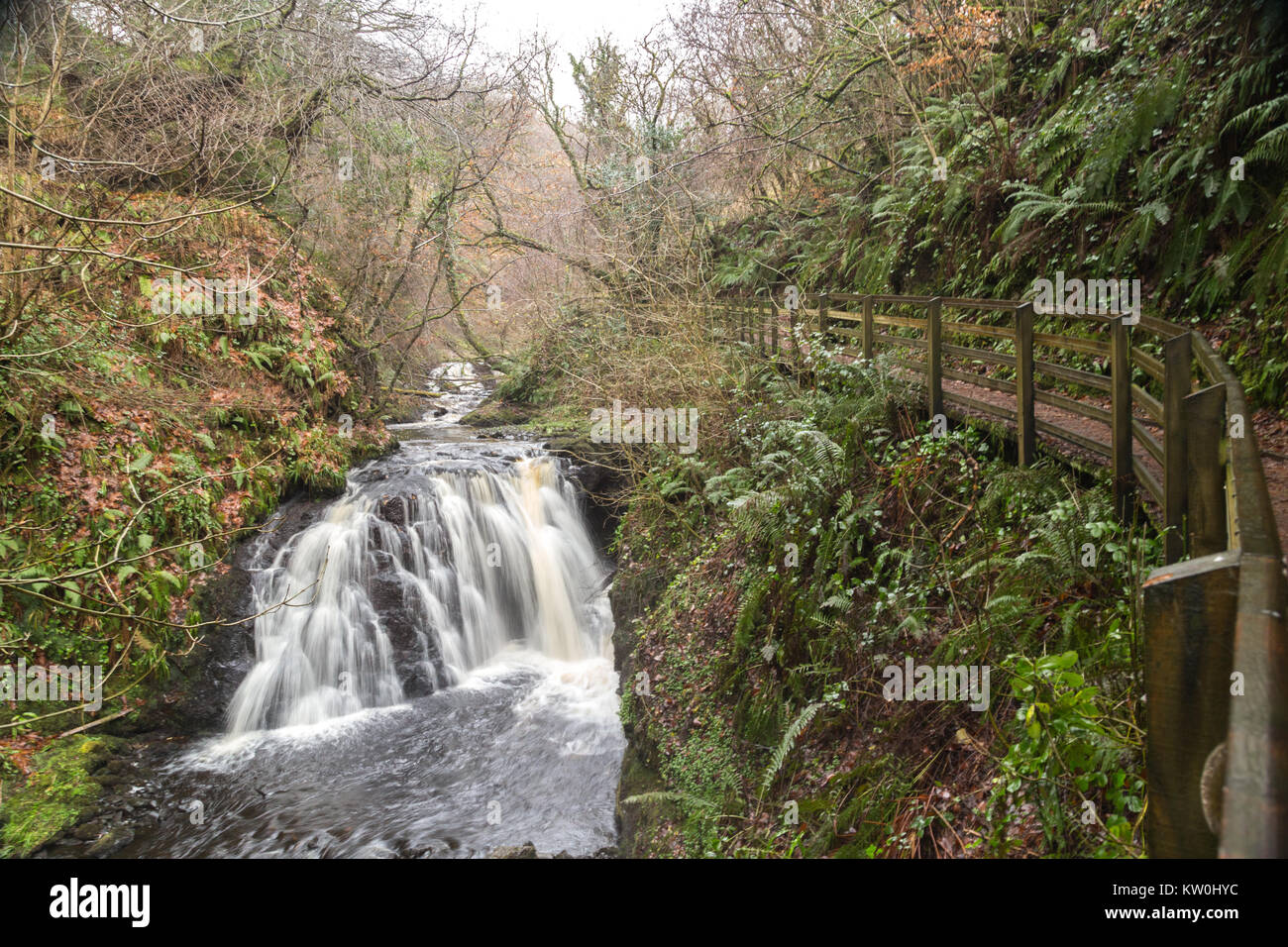 A waterfall beside a forest track in Glenariff Stock Photo - Alamy