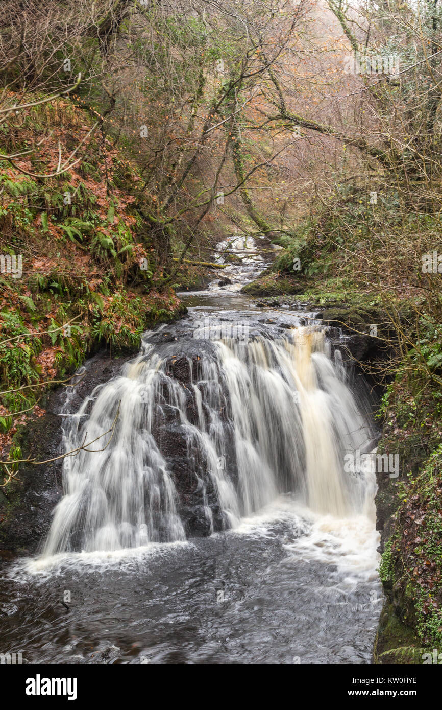 Glenariff forest park ireland hi-res stock photography and images - Alamy