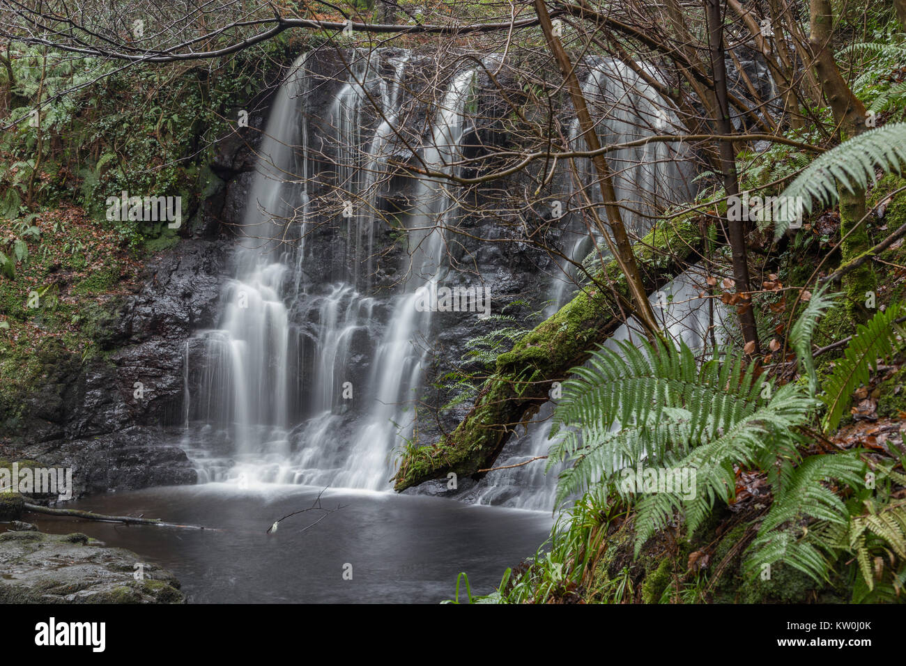 Ess na crub waterfall in Glenariff Forest Park Stock Photo - Alamy