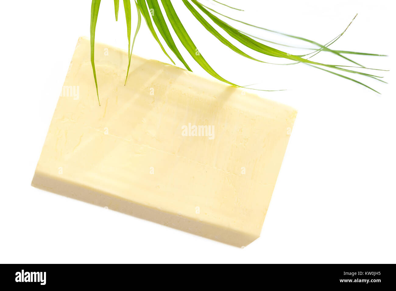 opened butter box on green pam leaf against a white background Stock ...