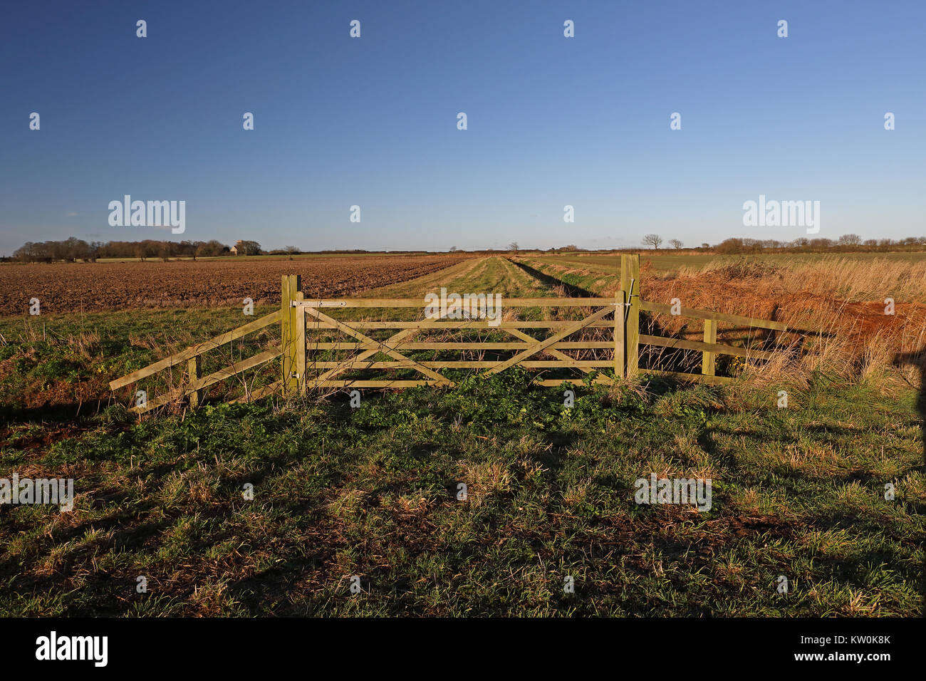 Marsh gate hi-res stock photography and images - Alamy