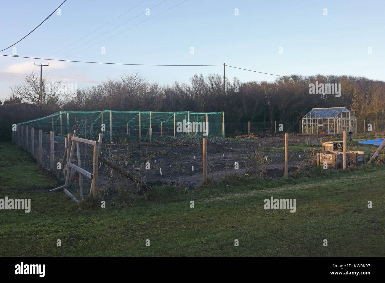 vegetable garden in coastal location Eccles-on-Sea, Norfolk, UK ...