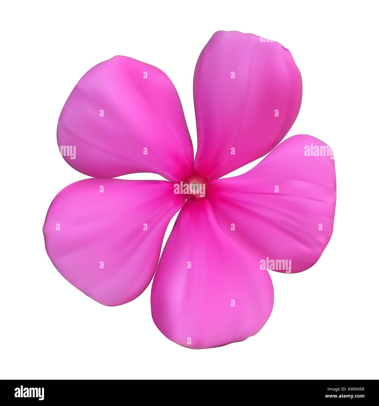Isolated Colorful beautiful naturalistic Pink flower. Vector Ill Stock ...