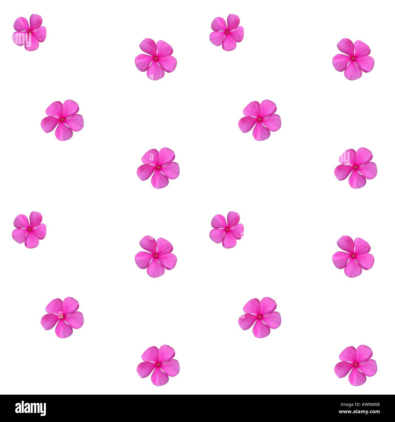 Colorful beautiful naturalistic Pink flower. Seamless pattern. V Stock ...