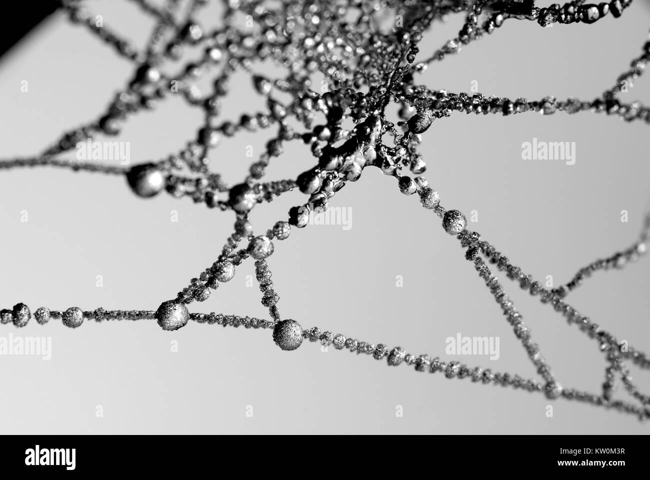 Spiders cobweb Black and White Stock Photos & Images - Alamy