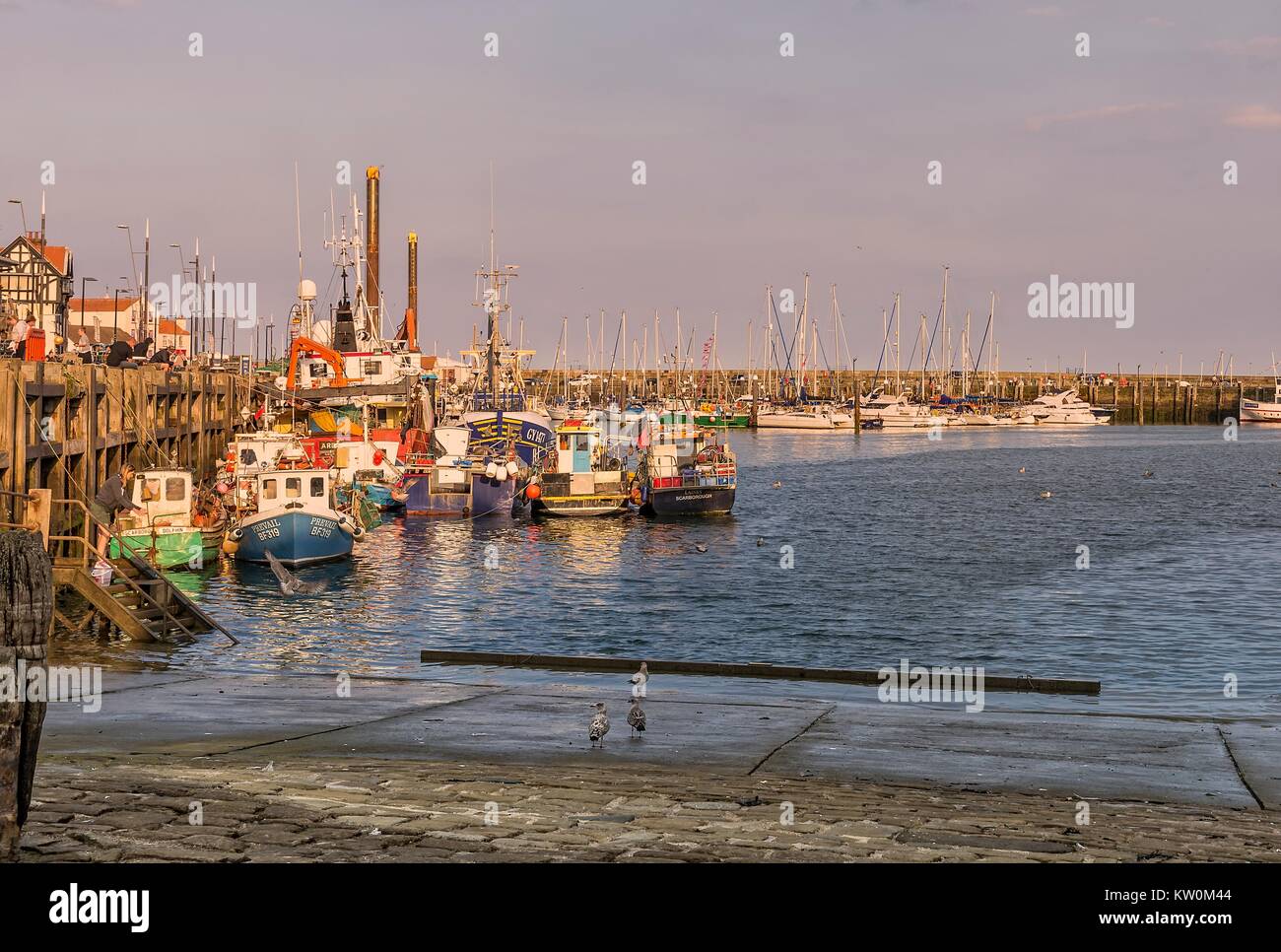 Fishing Boats Cobbles Yorkshire High Resolution Stock Photography and ...