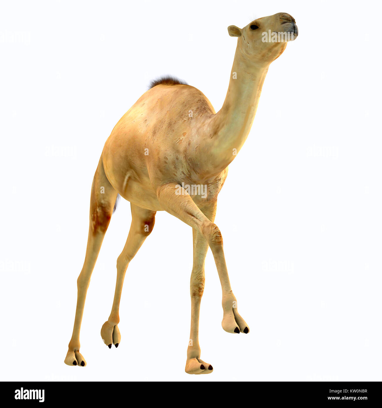 Prehistoric animal hi-res stock photography and images - Alamy