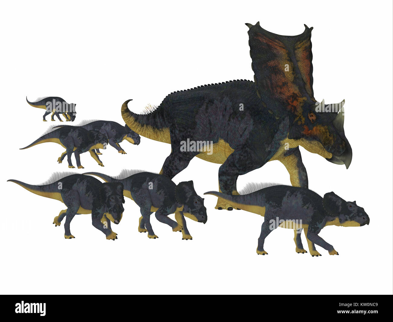 Chasmosaurus Dinosaur with Young - Chasmosaurus was a herbivorous ...