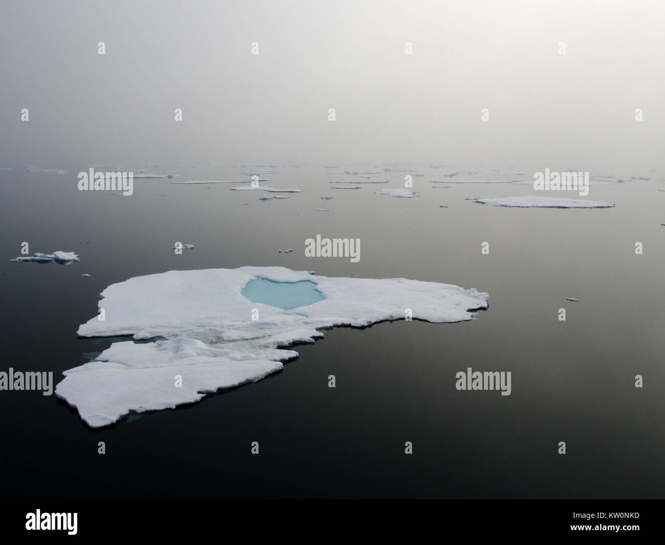 Ice floes in dark water, arctic ocean around Svalbard, Norway Stock ...