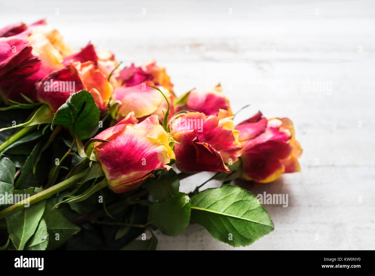 Beautiful bunch of two colored roses on the wooden background, top view ...