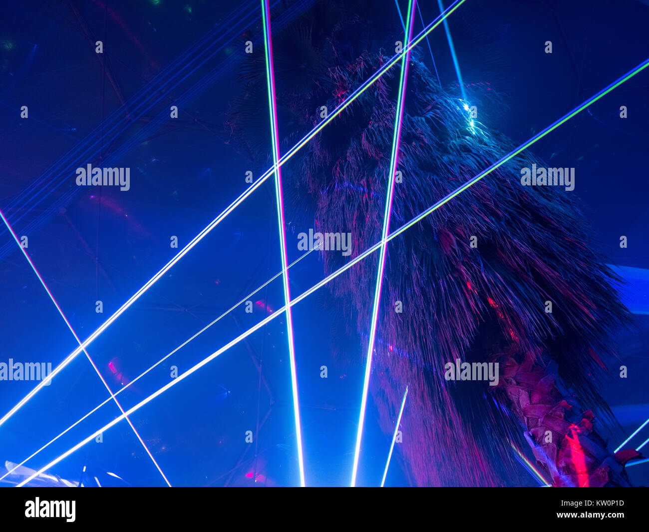 Eden project art rainforest hi-res stock photography and images - Alamy
